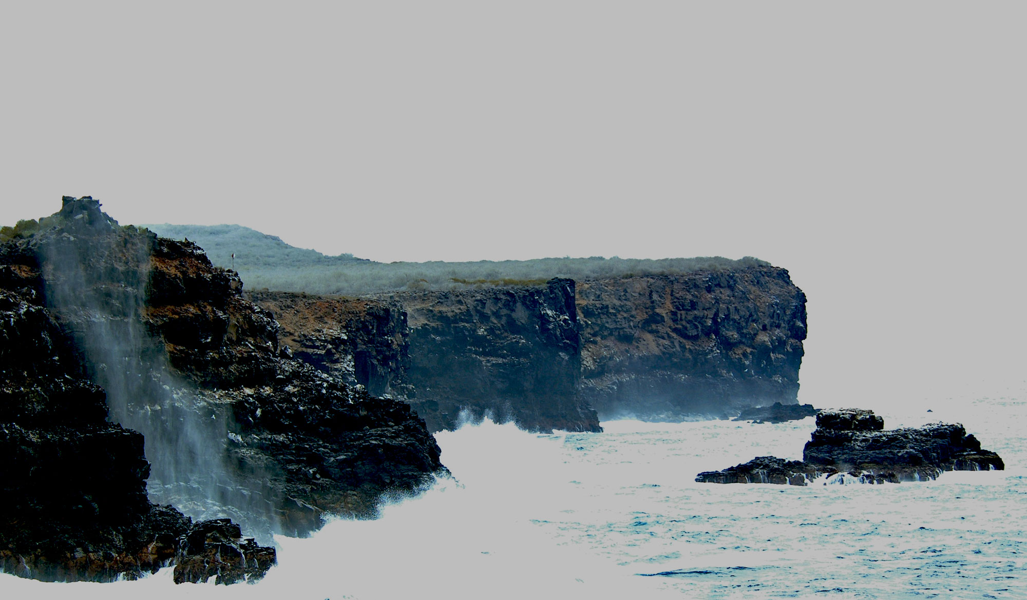 Espanola Island Day Tours in the Galapagos - Galakiwi Blog | Galakiwi ...