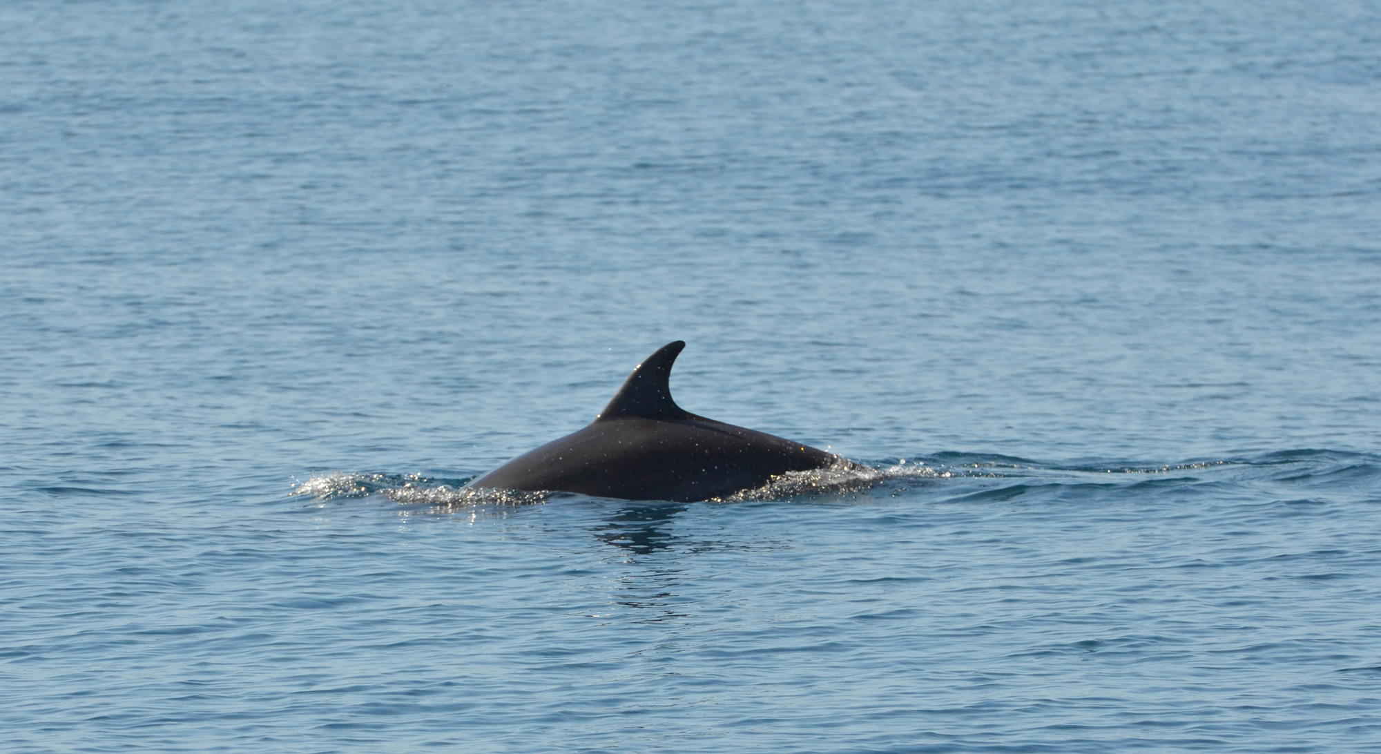 360 Tour of San Cristobal Island, Galapagos - Galakiwi Blog | Galakiwi ...