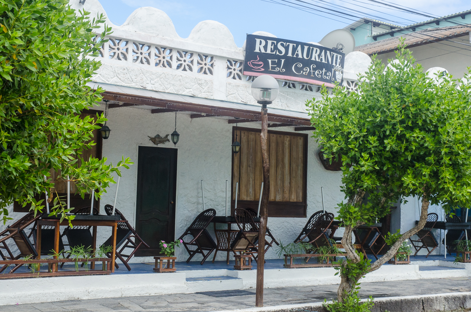 Where To Eat in Puerto Villamil On Isabela Island