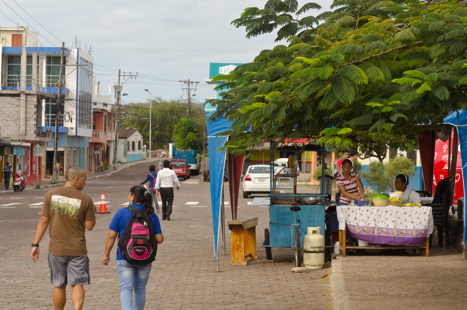Helpful Family Travel Tips for the Galapagos Islands - Galakiwi Blog ...