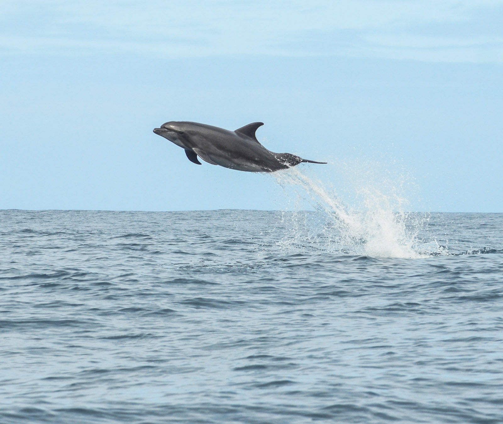Top Tips for Taking Better Galapagos Wildlife Photos - Galakiwi Blog ...