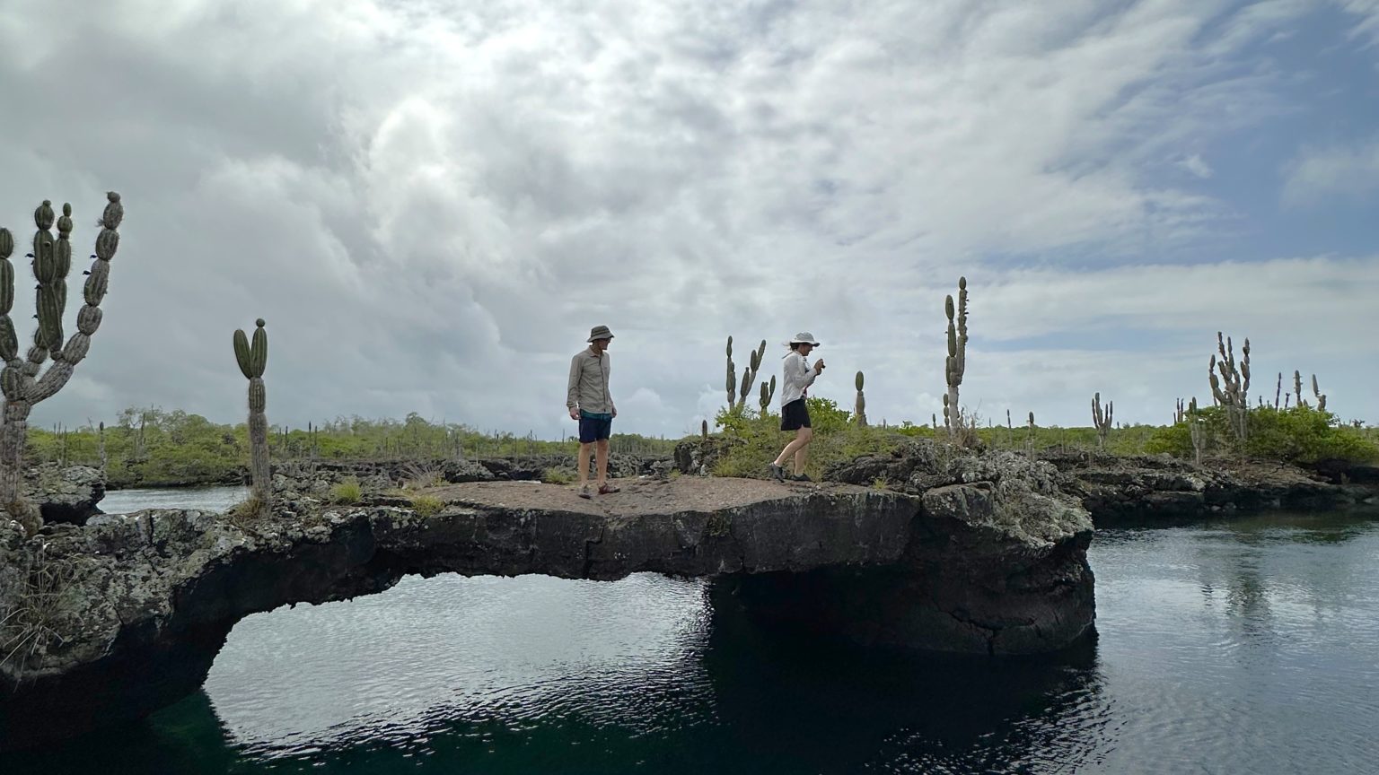Galápagos TCT Guide: How to Get Your Transit Control Card - Galakiwi ...
