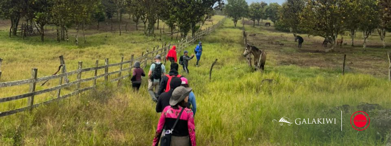 Galakiwi News & Updates | Galakiwi Adventures